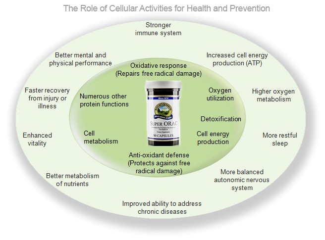 Any health program must begin at the cellular level